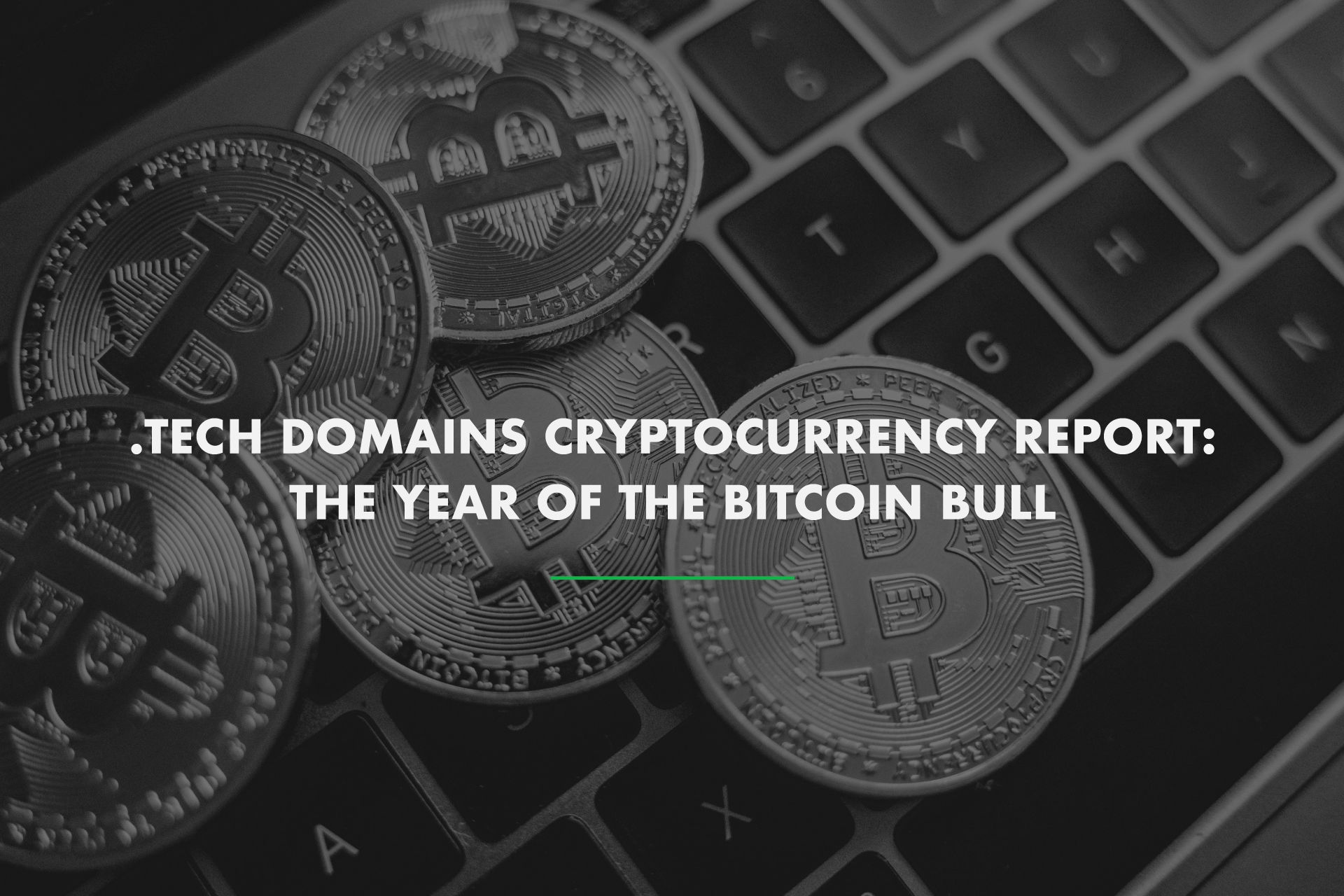 .Tech Domains Cryptocurrency Report: The Year of the Bitcoin Bull